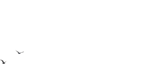 IFS Guide App - IFS Guide