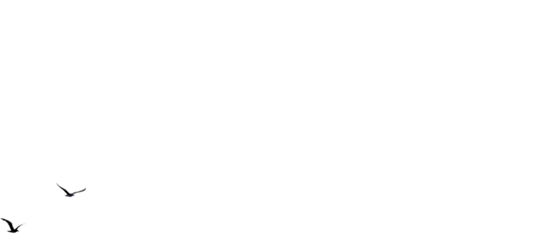 IFS Guide App - IFS Guide