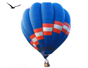 IFS Guide App - IFS Guide