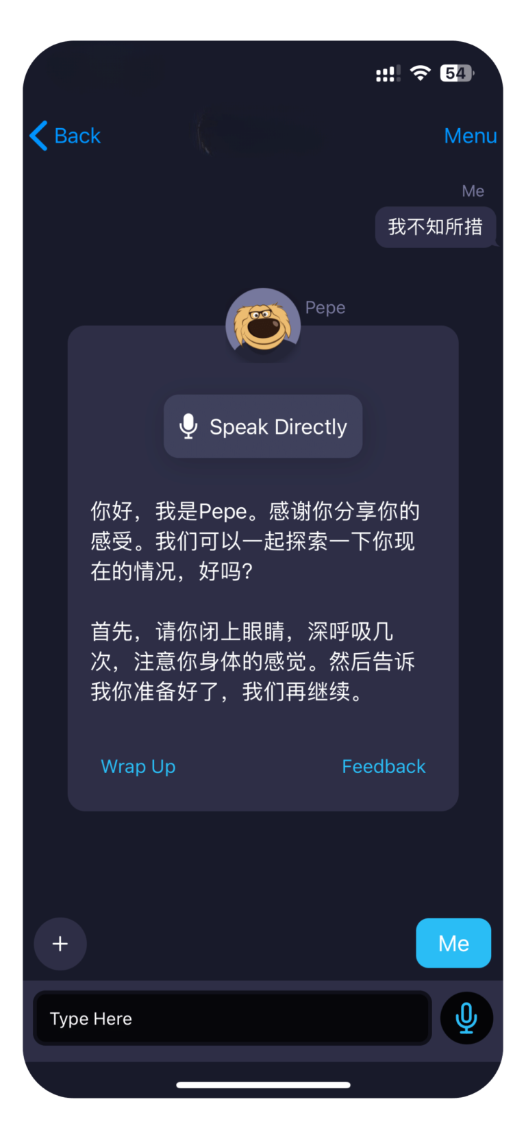 IFS Guide App - IFS Guide