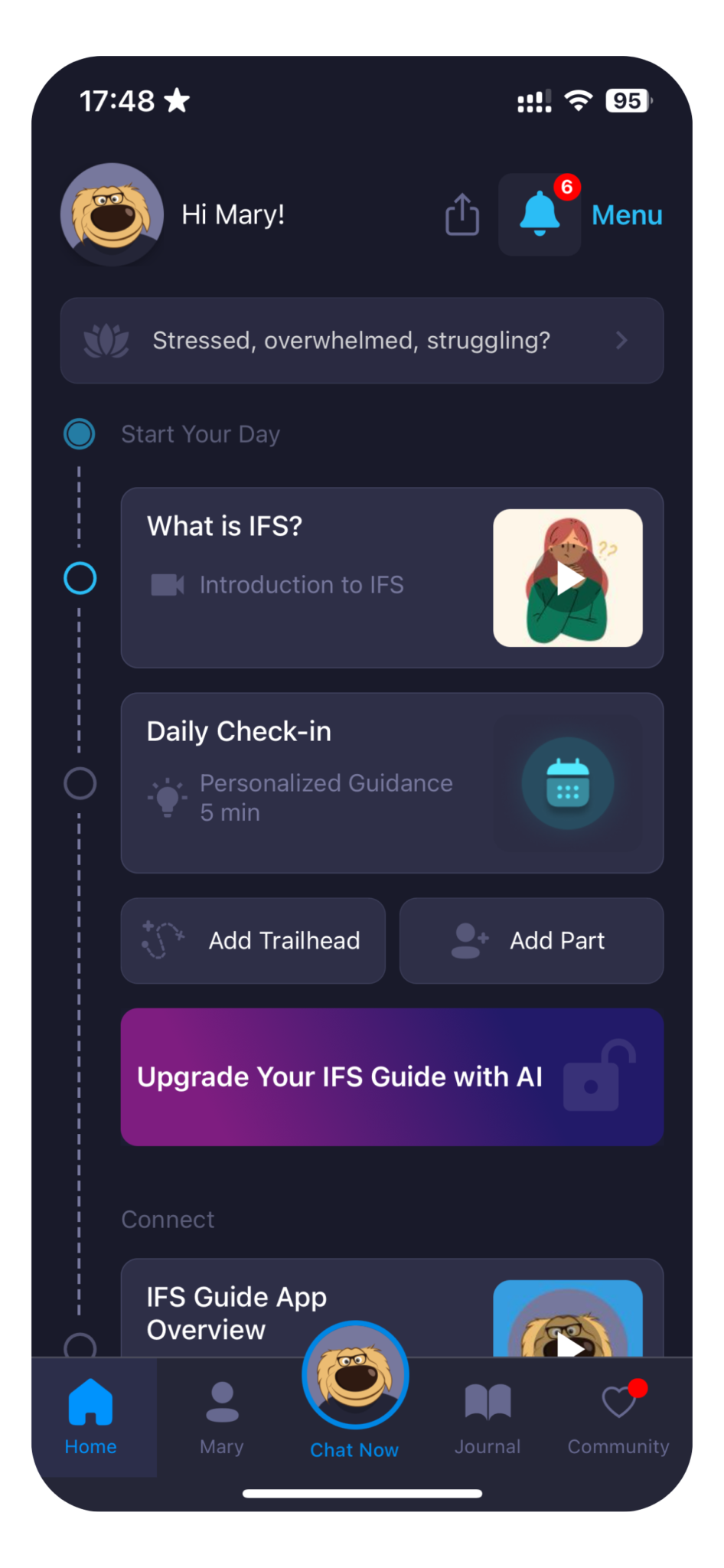 IFS Guide App - IFS Guide